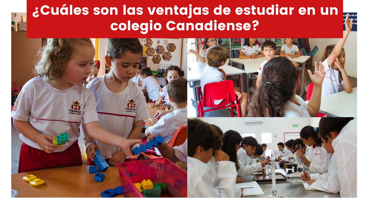 ¿Cuáles son las ventajas de estudiar en un colegio Canadiense? - Maple ...